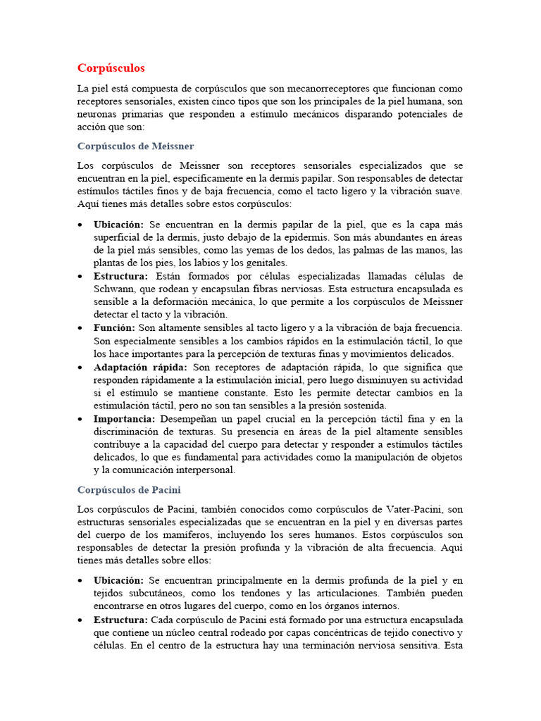 Formas de los corpúsculos sensoriales | PDF | Piel | Sistema ...