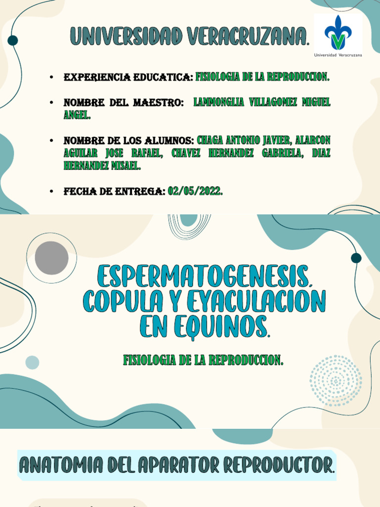 Fisiología Reproductiva Equina: Espermatogénesis y Cópula | PDF ...