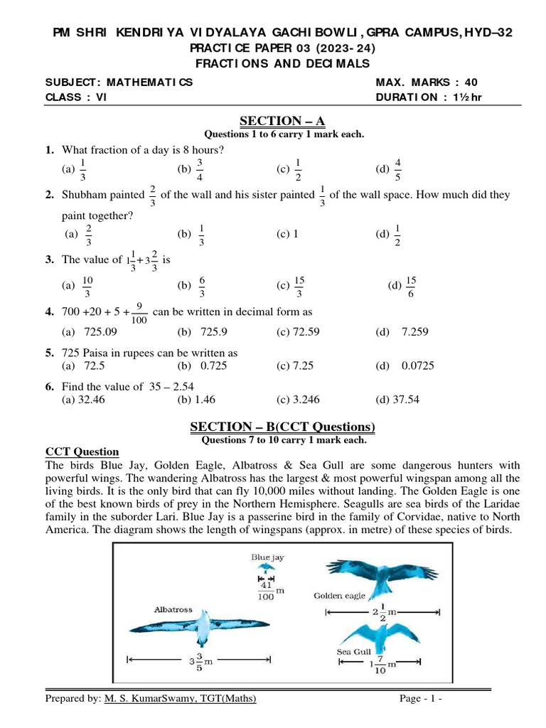 Class VI Maths Practice: Fractions & Decimals | PDF | Eagle | Gull