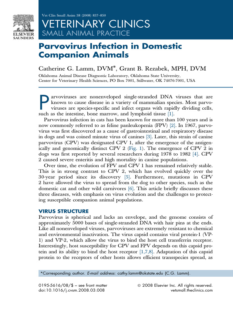 Parvovirus Infection in Domestic | Download Free PDF | Virus | Vaccines