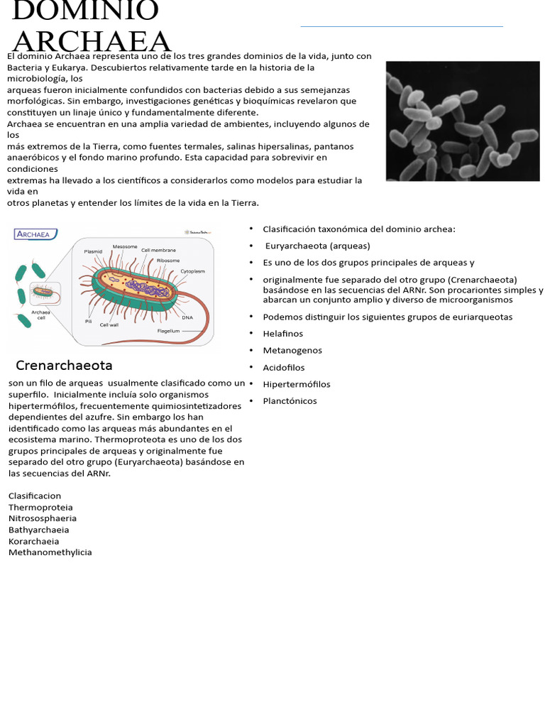 PROYECTO Dominio Archaea | PDF