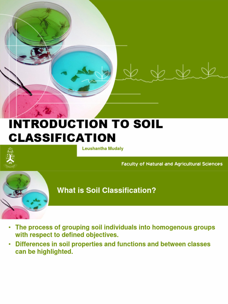 Soil Classification and Survey Techniques | PDF | Soil | Physical Geography