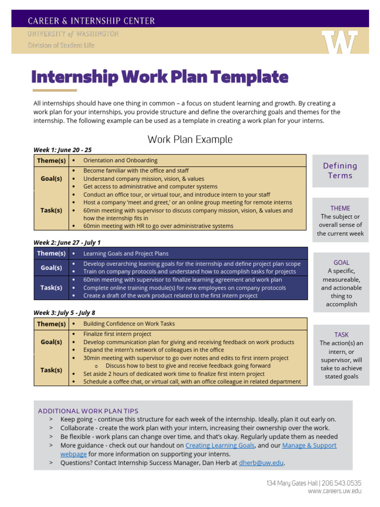 Internships Work Plan Template | PDF | Computing | Social Psychology