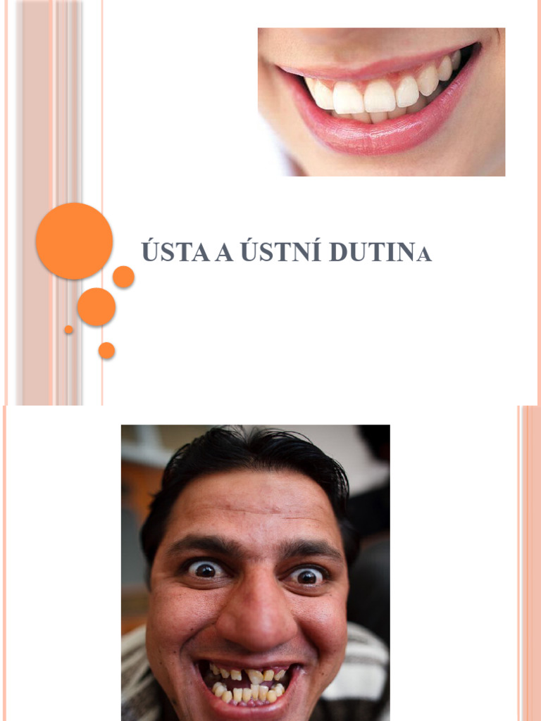 Ústa A Ústní Dutina | PDF