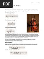 Begena | PDF | Chordophones | String Instruments