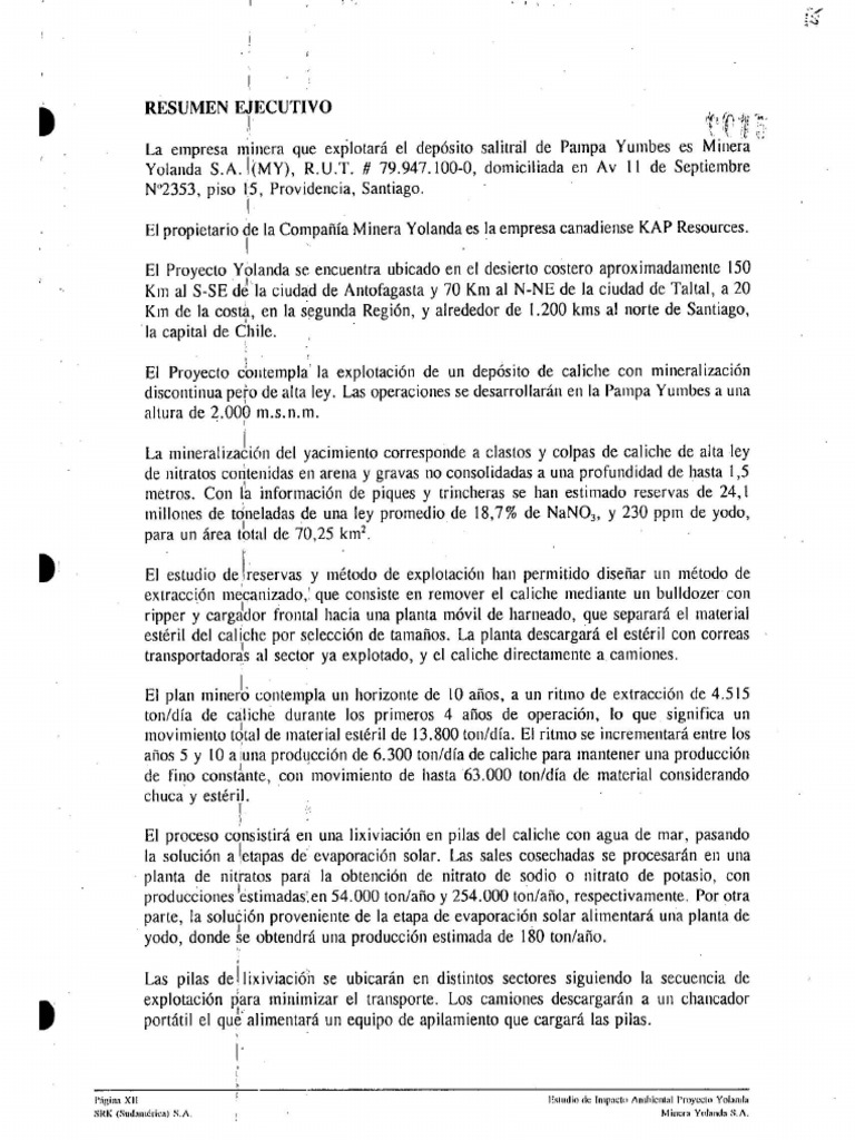 EIA 899 Resumen Ejecutivo | PDF