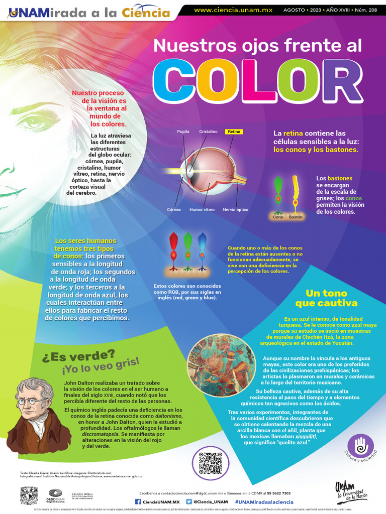 El Fascinante Mundo del Color | PDF | Color | Percepción visual