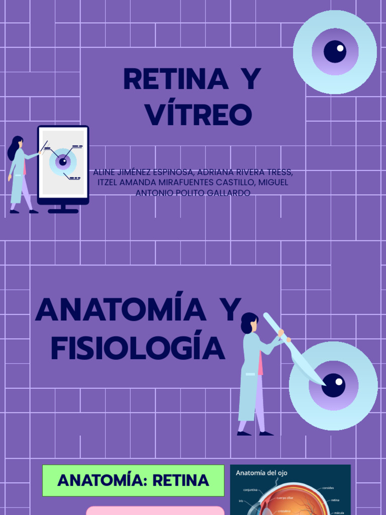 Anatomía y Patologías de Retina y Vítreo | PDF | Visión | Sistema visual