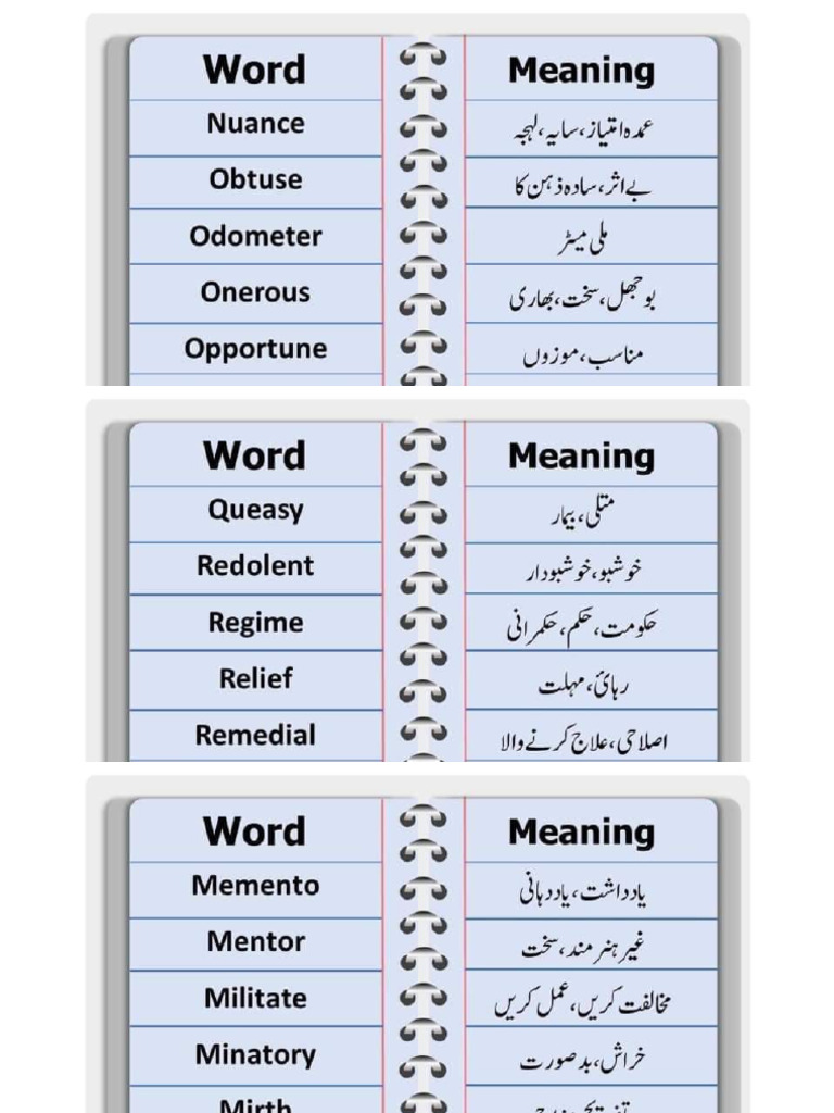 Important Vocabulary | PDF