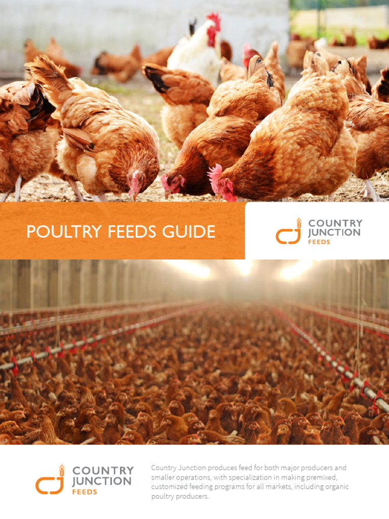 Poultry Feed Solutions Guide | PDF | Poultry | Chicken