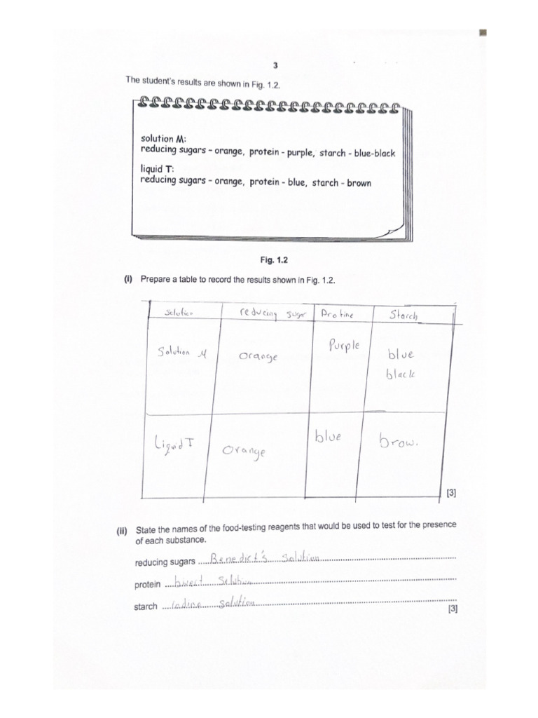 Ammar Mahmoud Fayed Paper 6 Mock | PDF