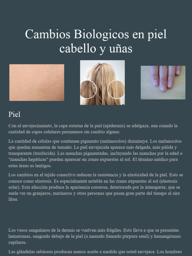 Cambios Biologicos en Piel Cabello y Uñas | PDF | Piel | Perdida de cabello