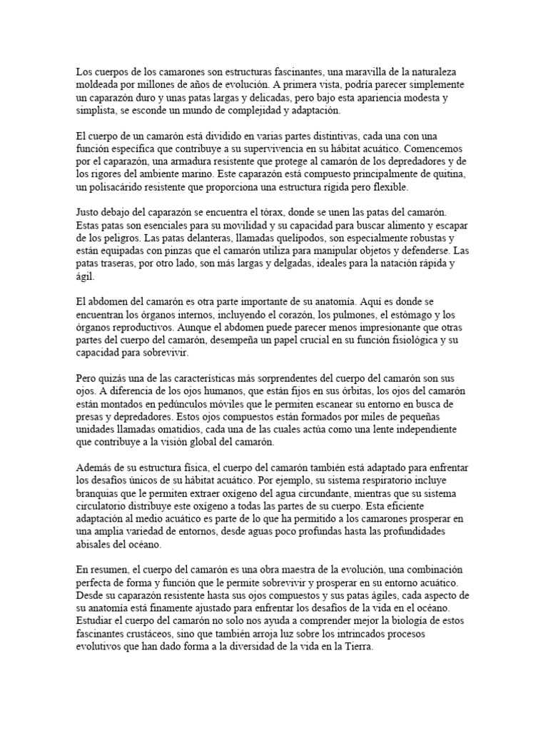 Anatomía y funciones del camarón | PDF | Evolución | Branquia