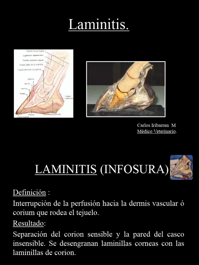 LAMINITIS | PDF | Inflamación | Especialidades Medicas