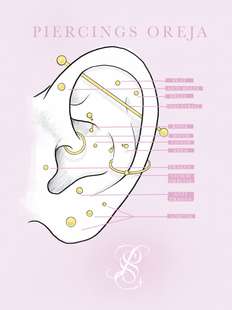 Nombres Piercings de Oreja | PDF