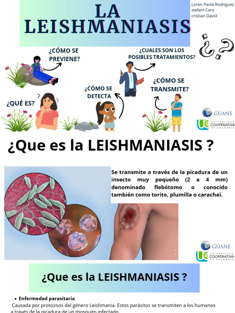 Guía Completa Sobre Leishmaniasis Pdf Ciencias De La Salud