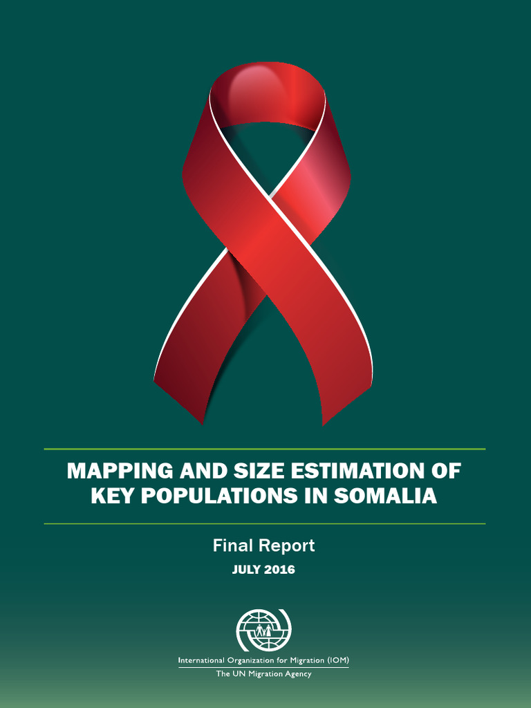 Mapping and Size Estimation Somalia | PDF | Somalia | Sexually Transmitted Infection
