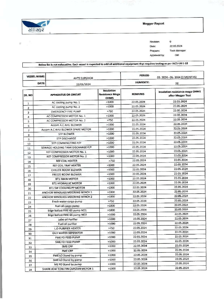 Meggar Test Report | PDF