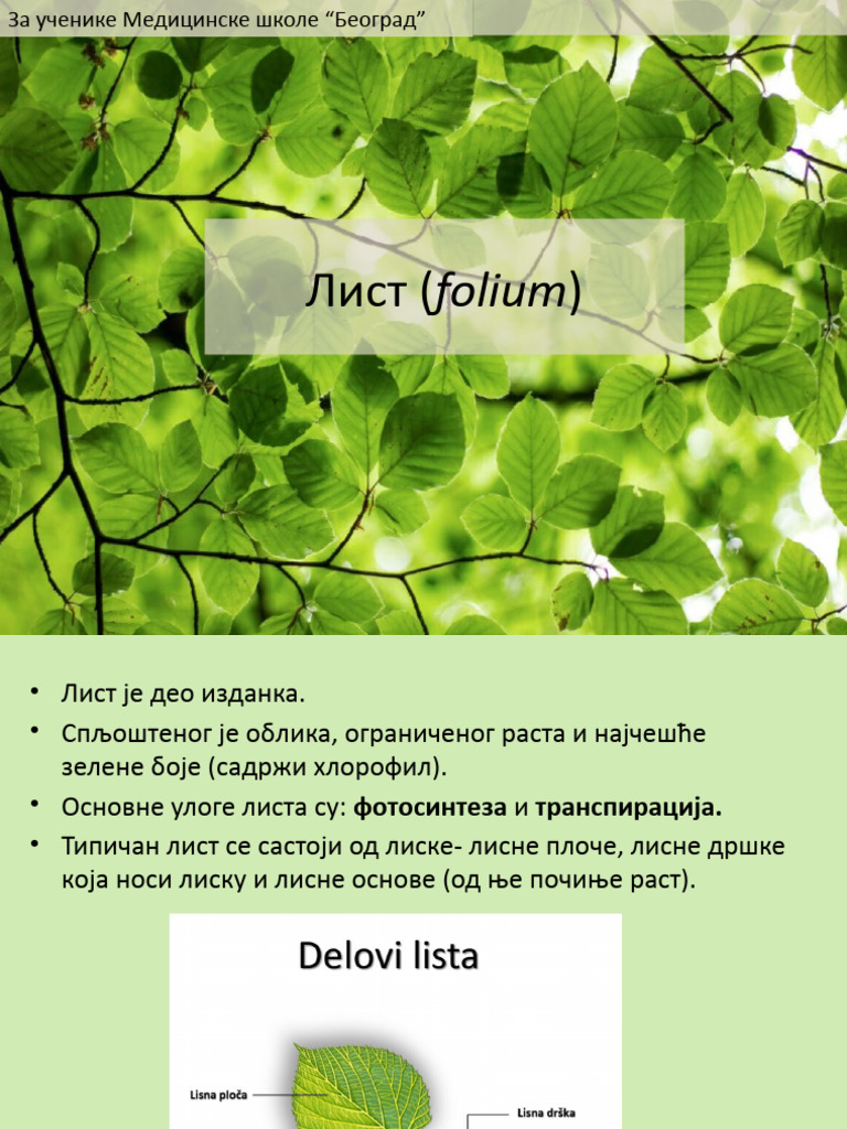 List | PDF