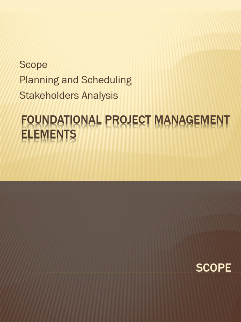 Foundational Project Management Elements | Download Free PDF | Project ...