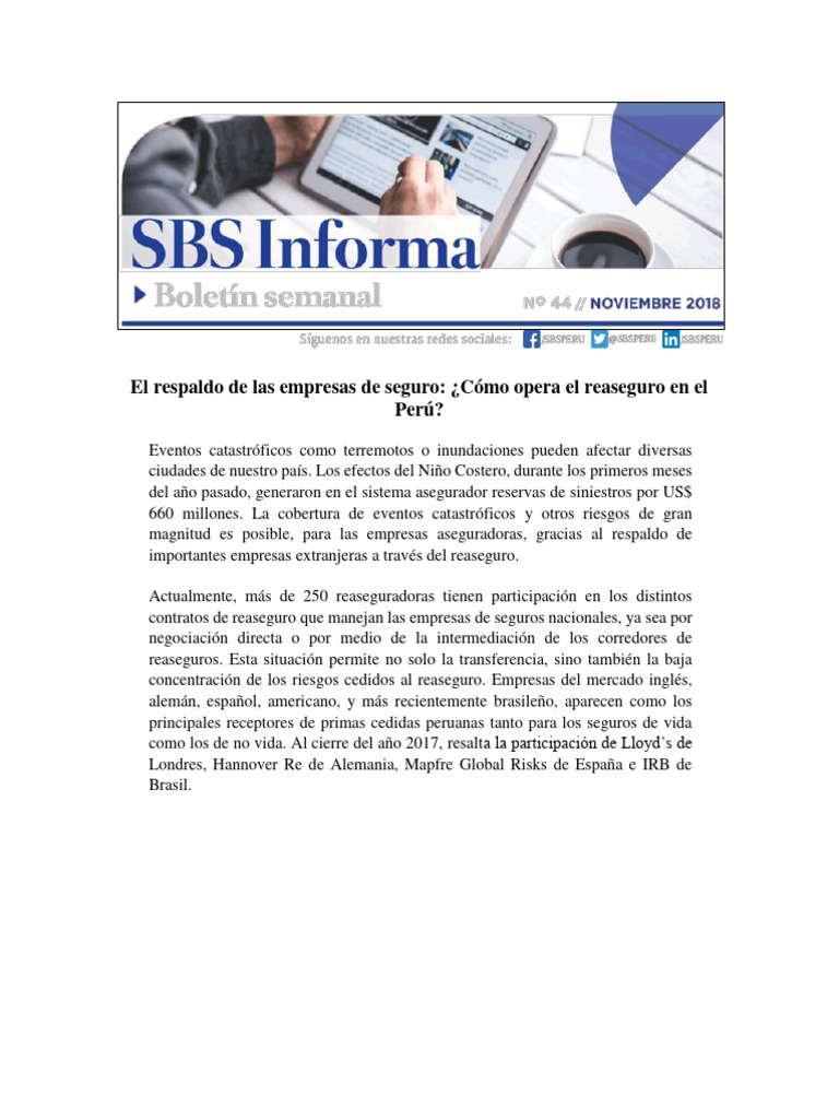 Informe de Respaldo de La SBS | PDF | Reaseguro | Seguro