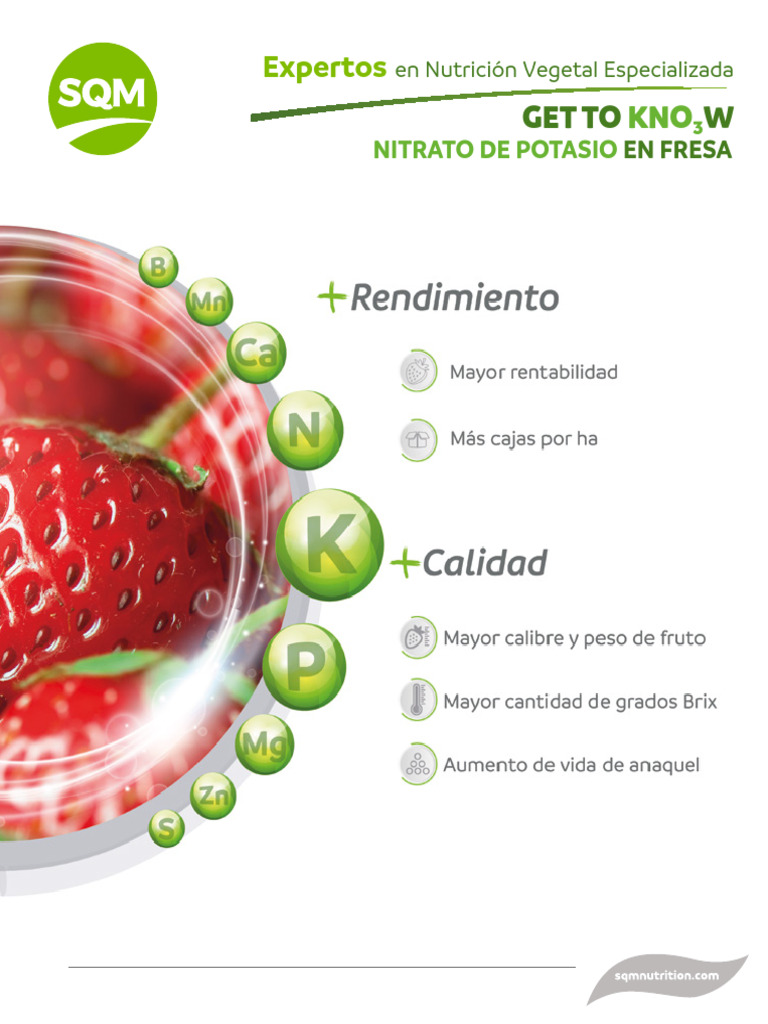 Brochure Fresa Digital MX | PDF | Fertilizante | Nutrición Vegetal