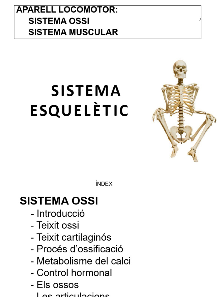 Uf1 Locomotor Ossi I Muscular | PDF