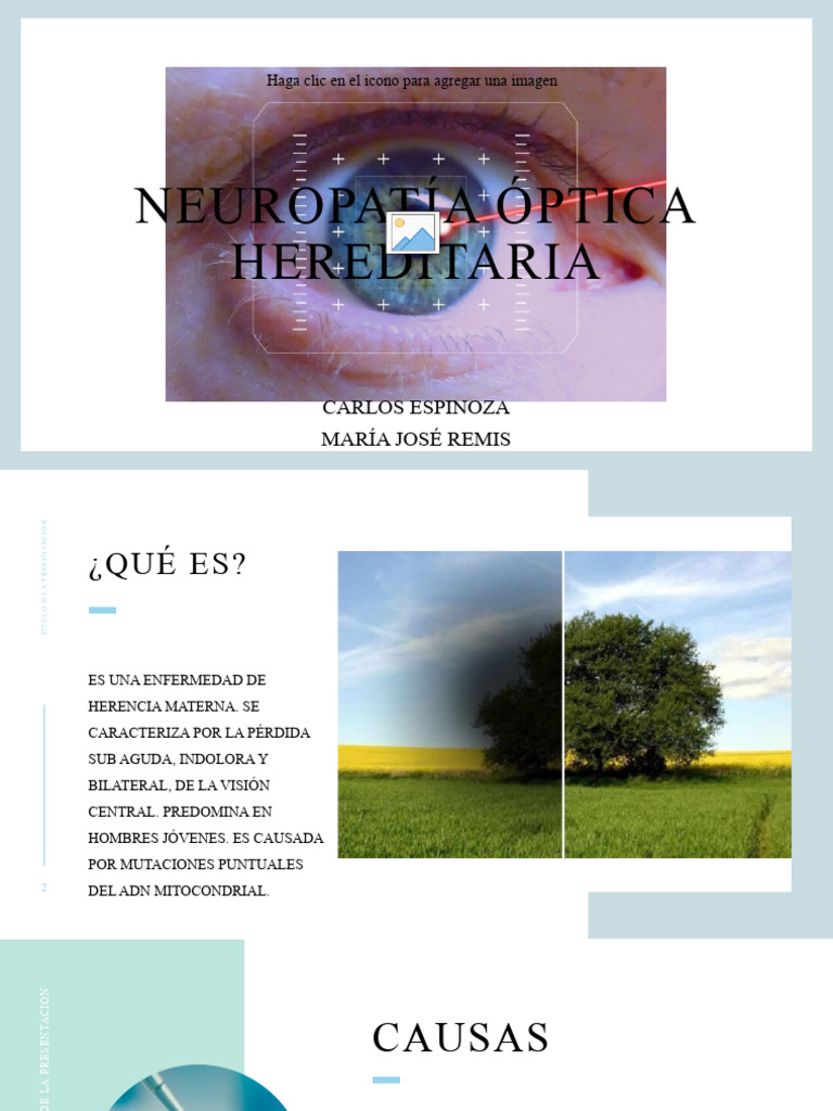 Neuropa Tia | PDF | Adn mitocondrial | Biología