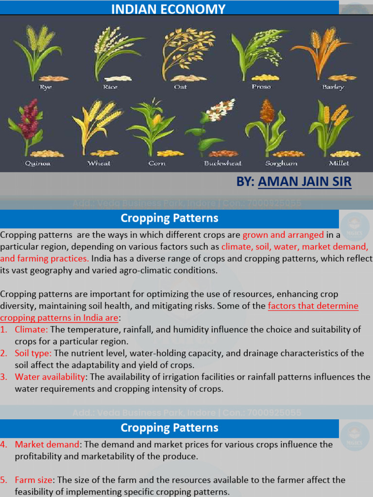 Major Crops and Cropping Patterns | PDF | Agriculture | Crop Rotation