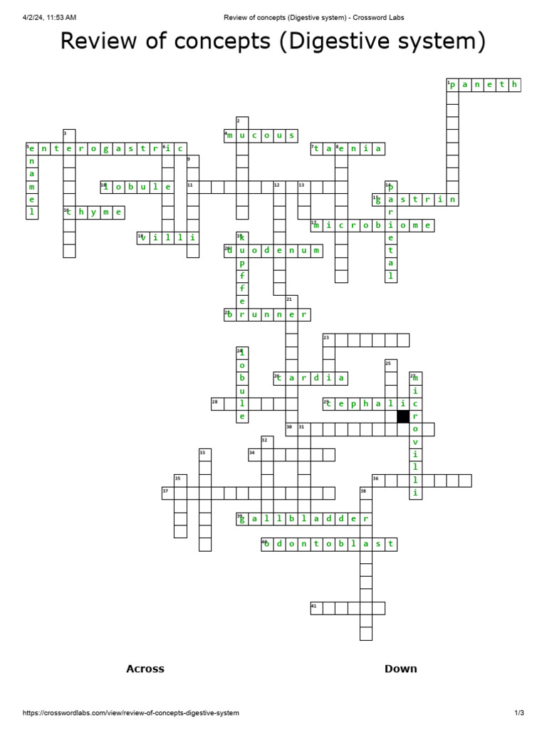 Digestive System Crossword Puzzle | PDF | Stomach | Human Digestive System