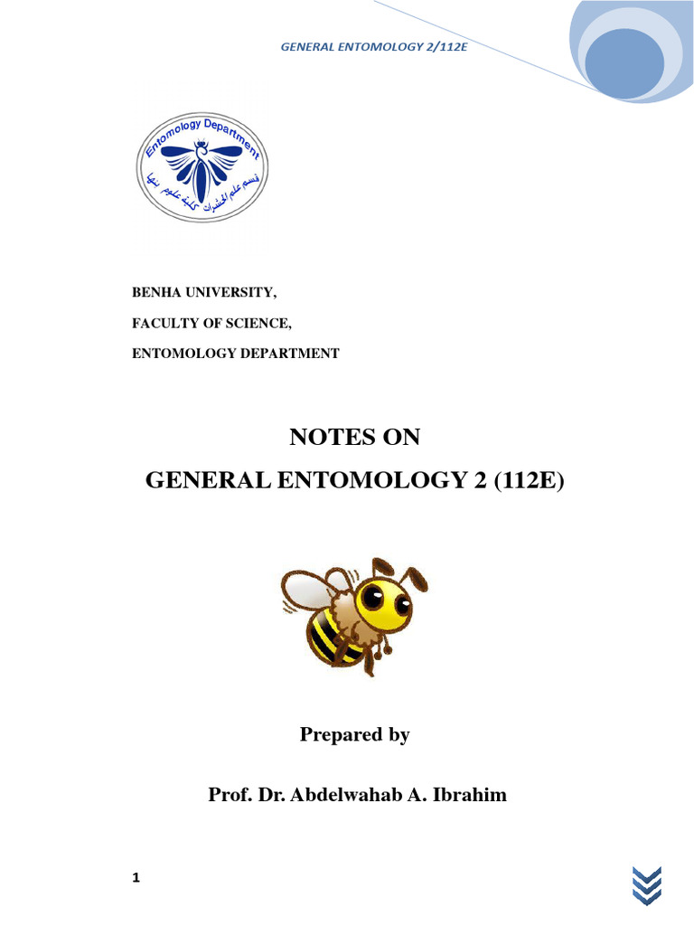 Notes On General Entomology 2 (112E) : Prepared by | PDF | Insects | Fly