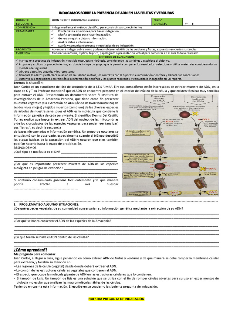 Indagamos Sobre La Presencia de Adn en Las Frutas y Verduras 4B | PDF ...