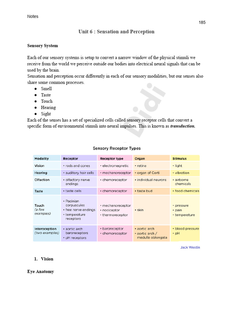 Unit 6 Notes-2 | PDF | Taste | Color