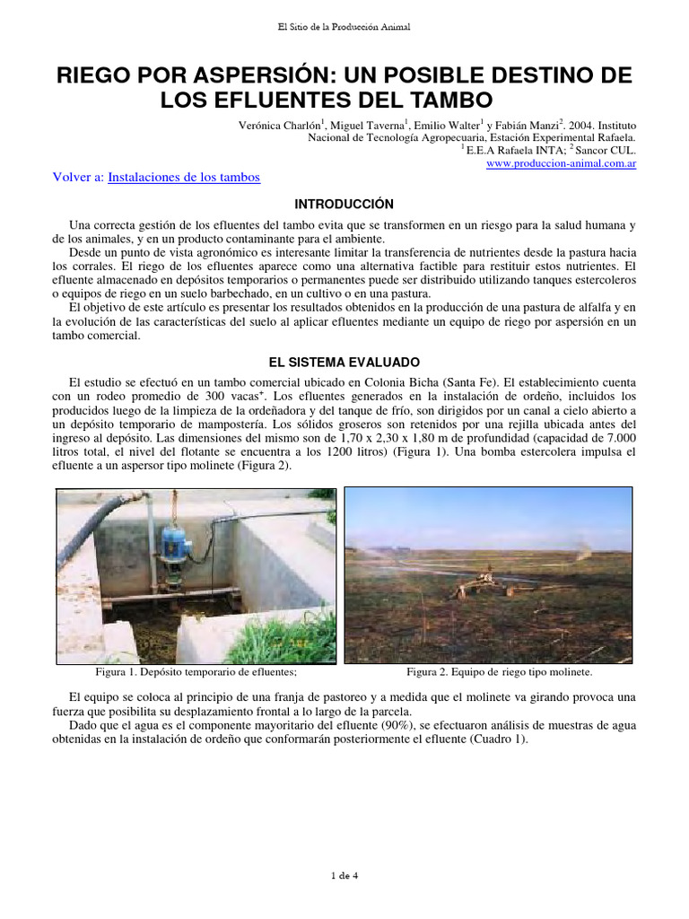 Riego por Aspersión en Tambos | PDF | Riego | Pasto