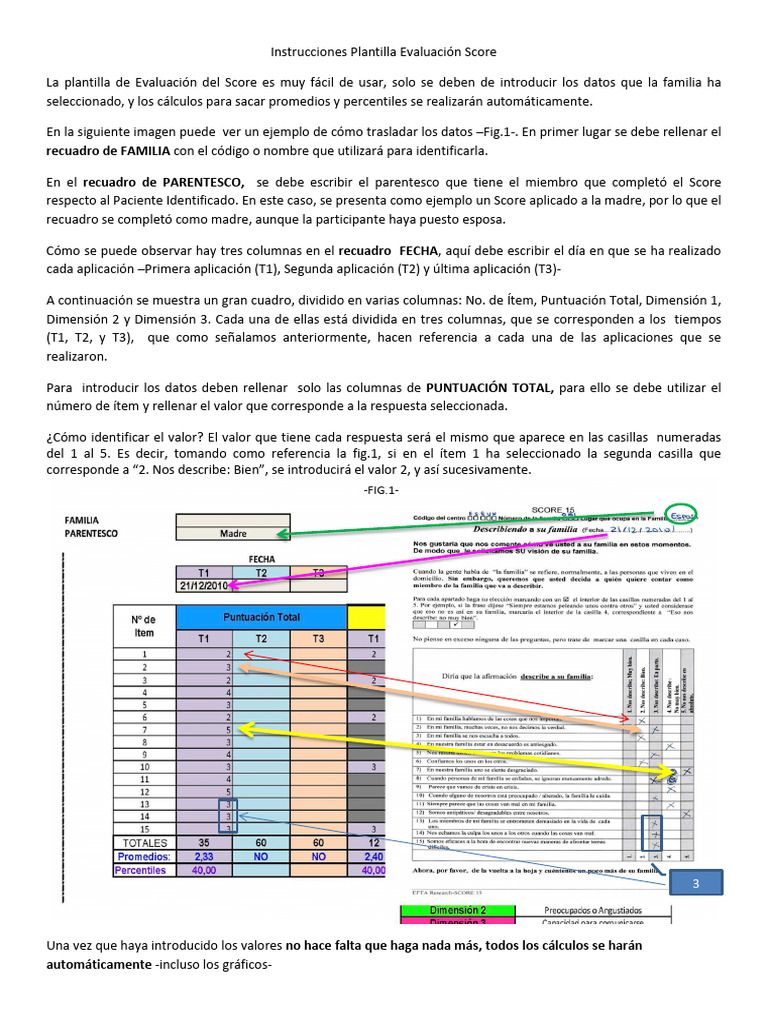 Scores Instrucciones Plan Till A Eva Luac I On | PDF