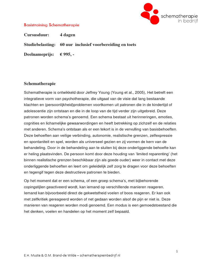 Basistraining Schematherapie Brochure | PDF
