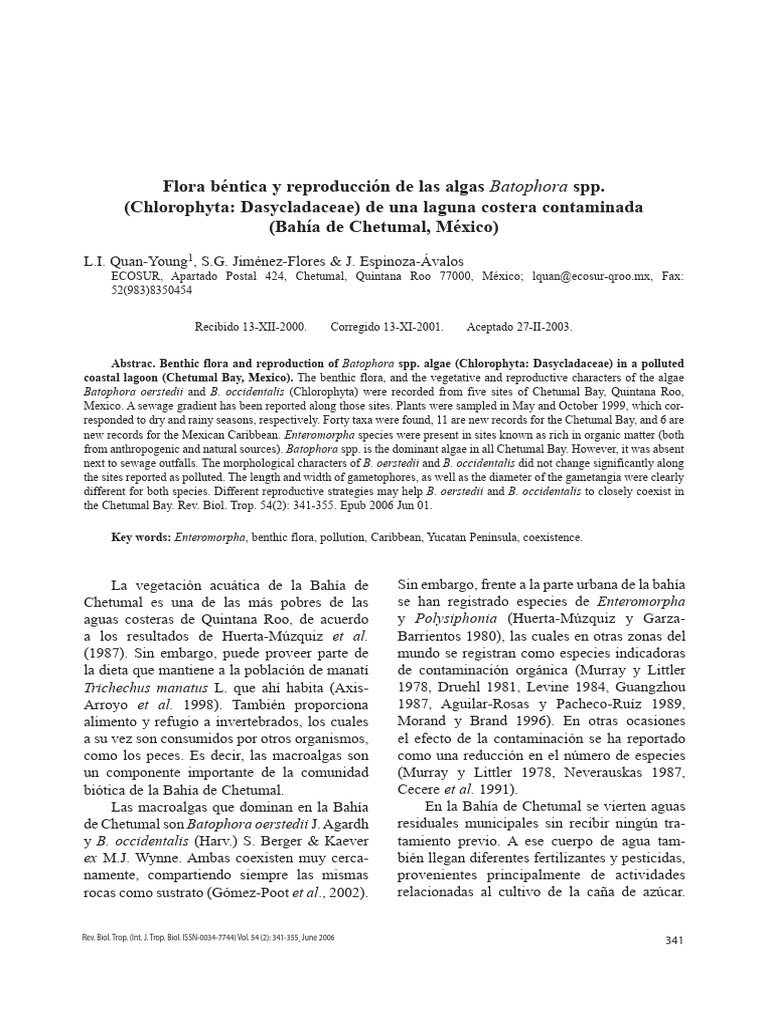 Chlorophyta Bathophora | PDF | Ciencias de la Tierra