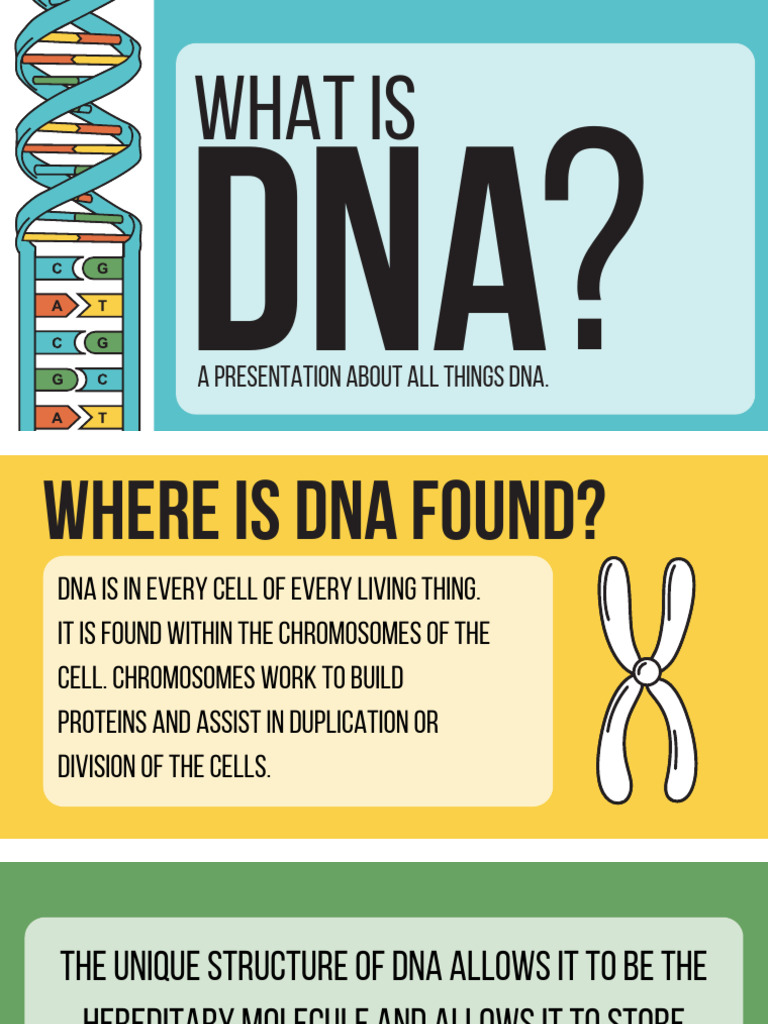 DNA Basics for Beginners | PDF | Science & Mathematics