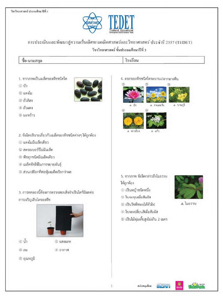 Tedet g3 Sci 57 | PDF