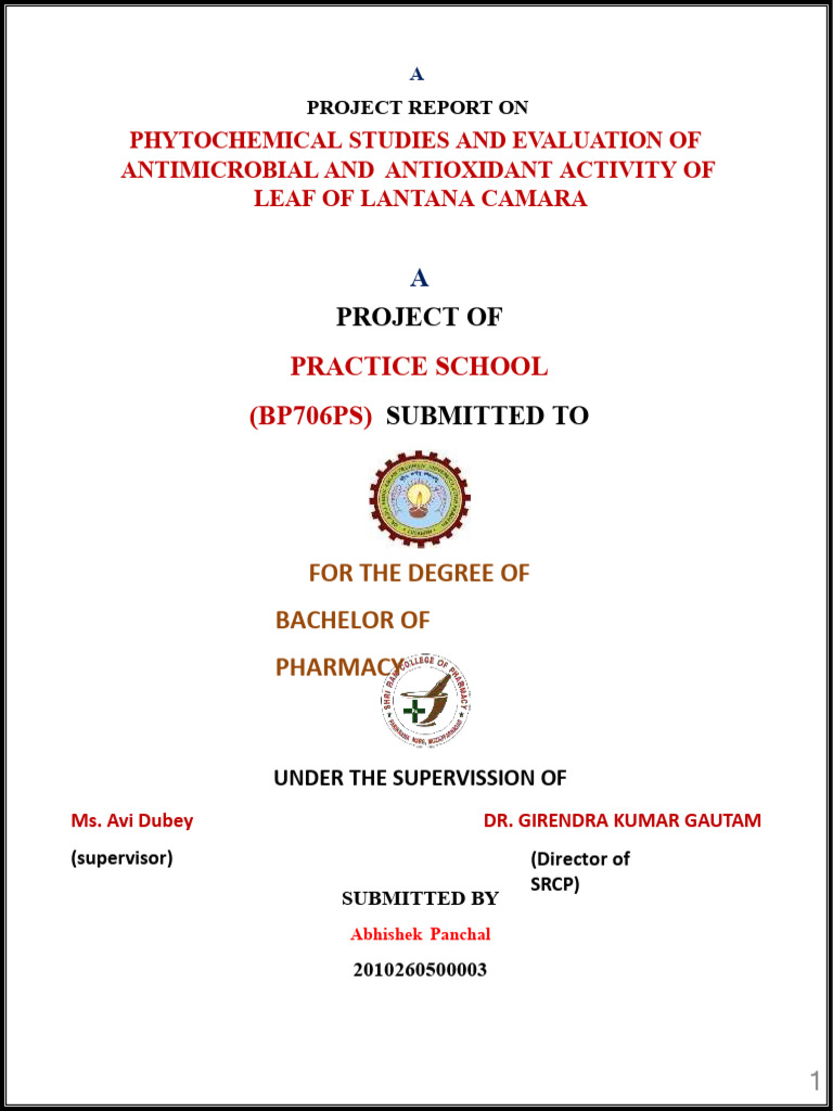 Abhi Panchal Project File 1 | PDF | Scanning Electron Microscope