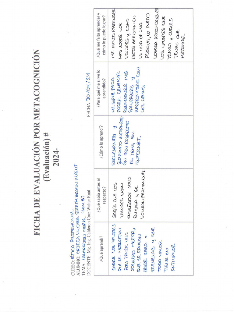 EVALUCION POR METACOGNICION Ortega Vilchez Steeph Bryan Rubent | PDF
