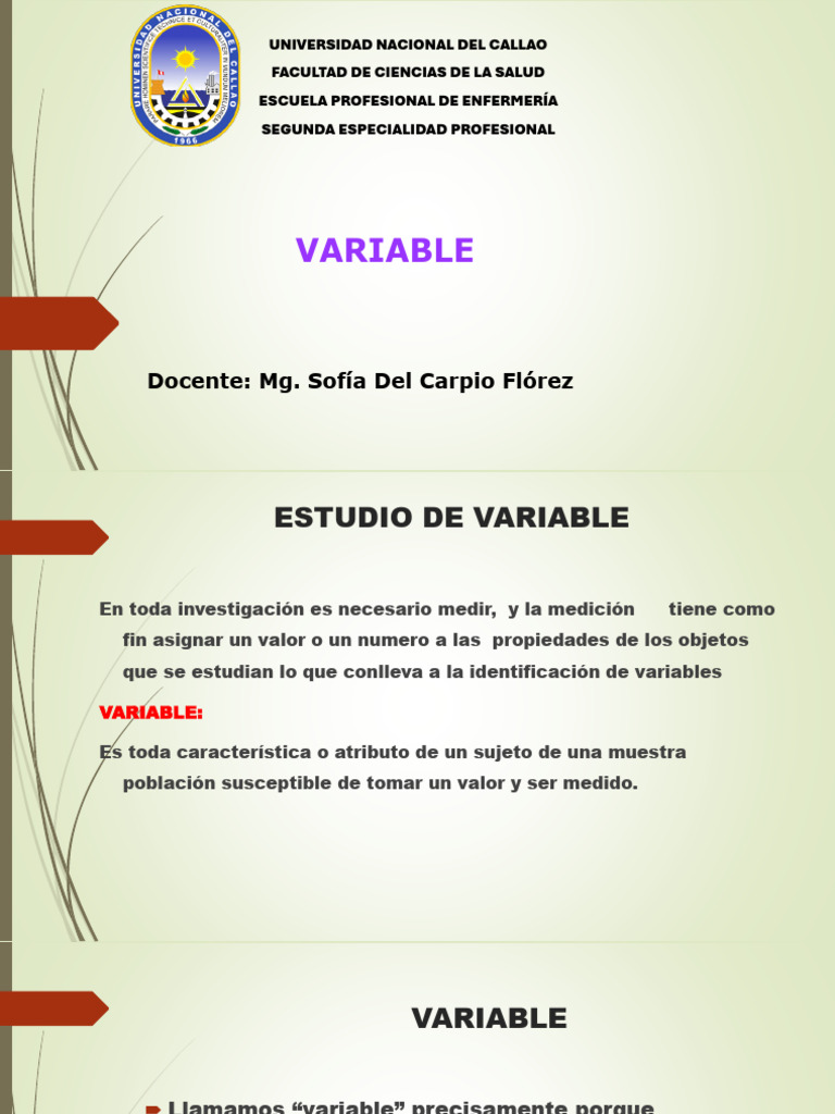 Variables | PDF