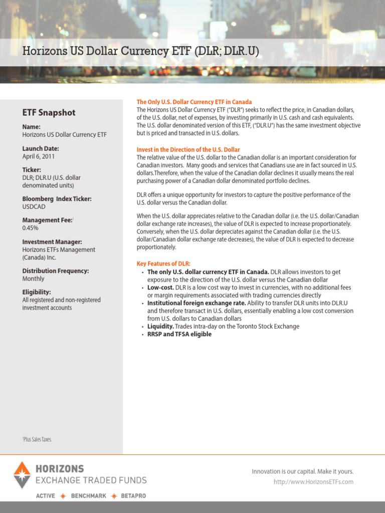 DLR Product Sheet | PDF | Exchange Traded Fund | Investing