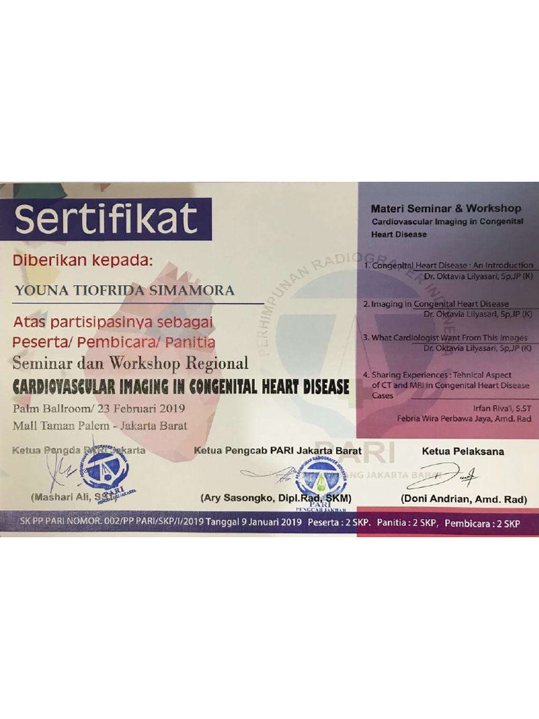 Workshop Reg Cardiovaskular Imaging | PDF