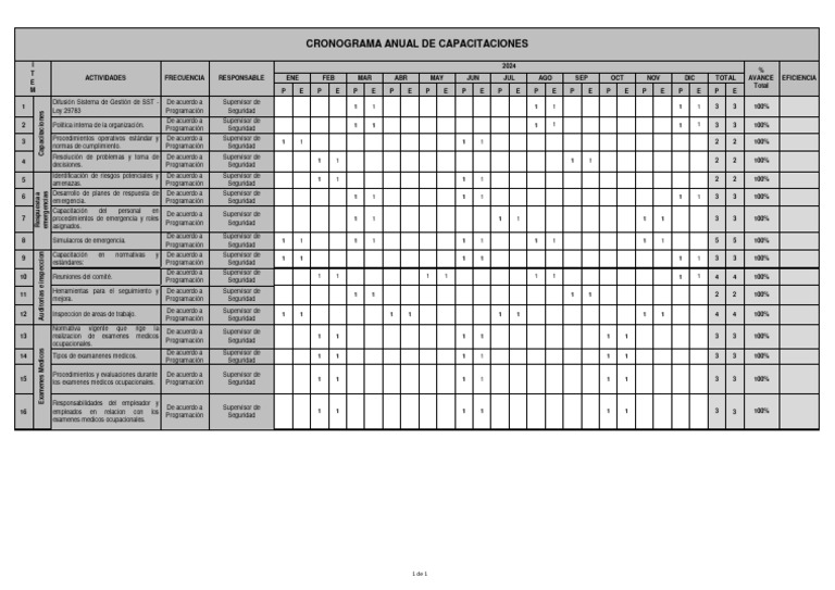 Cronograma Anual de Capacitaciones............ | PDF