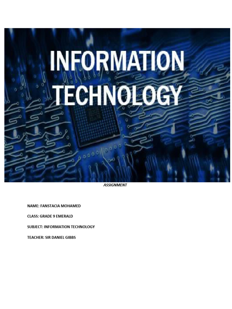 Info Assignment | PDF