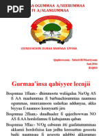 Xalayaa Iyyannoo | PDF