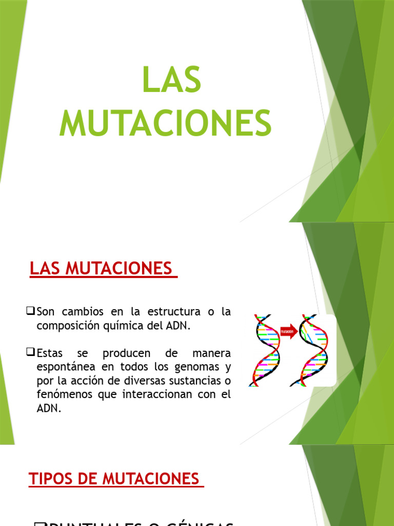 Las Mutaciones | PDF | Mutación | Histona