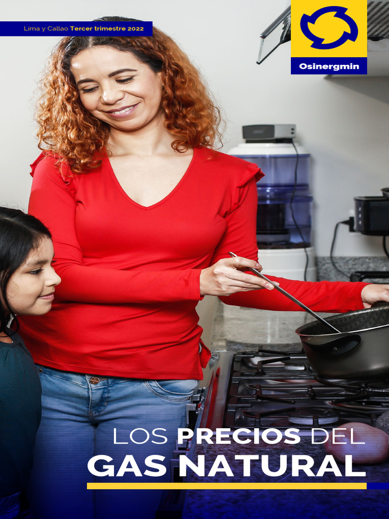 Los Precios Del Gas Natural | PDF | Economias