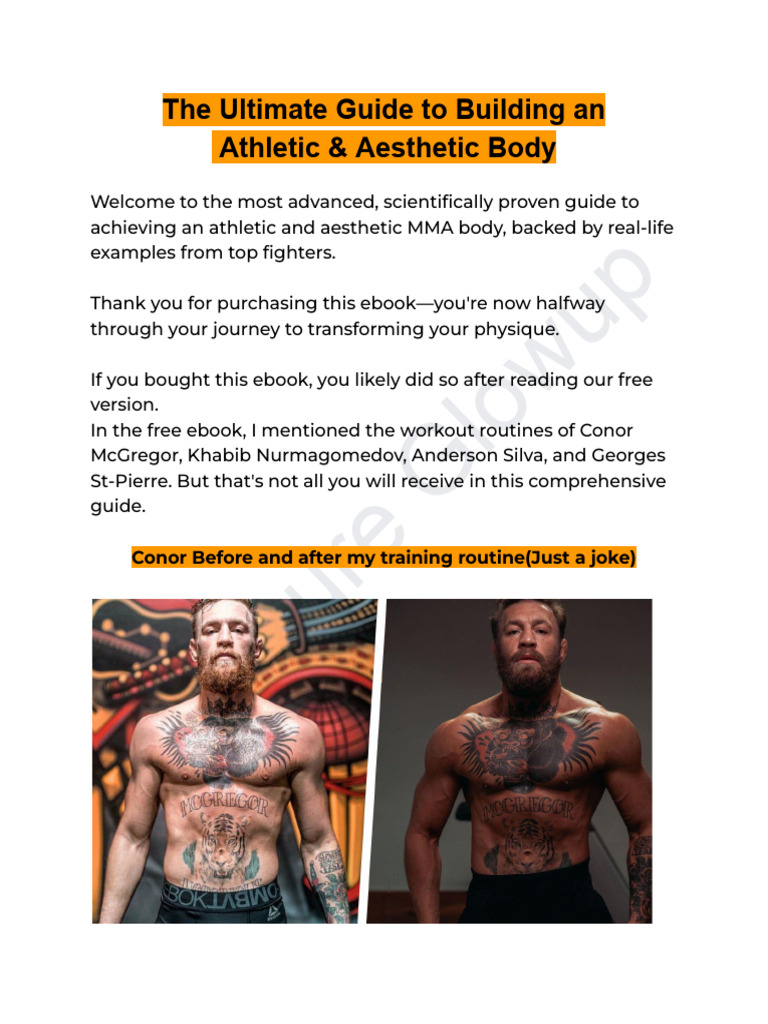 MMA Body Transformation Guide | PDF | High Intensity Interval Training ...